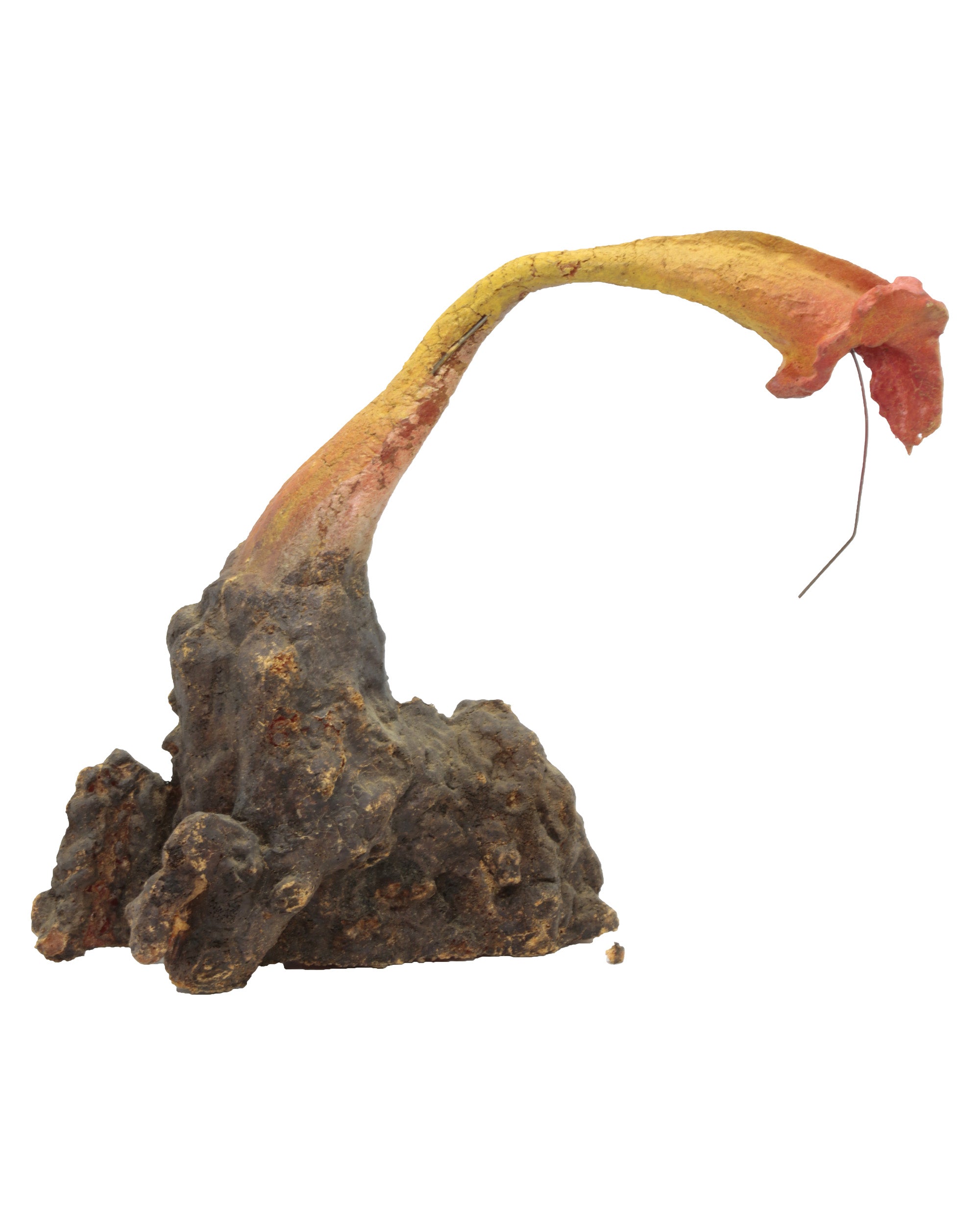 Auction Items – Page 3 – PlanetHollywoodVault